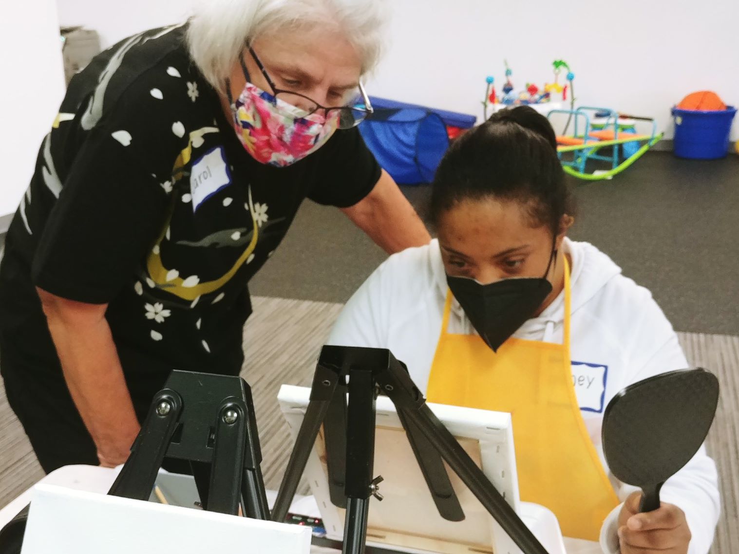 Volunteer Spotlight: Carol Schindler - Detroit